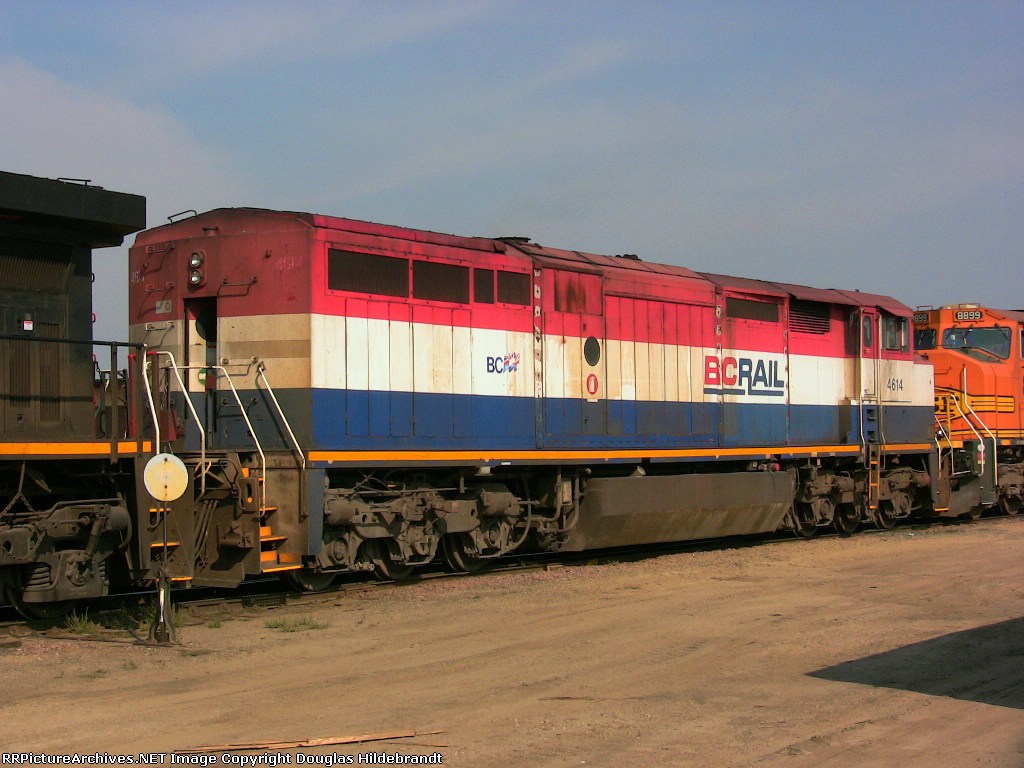 BCOL 4614
